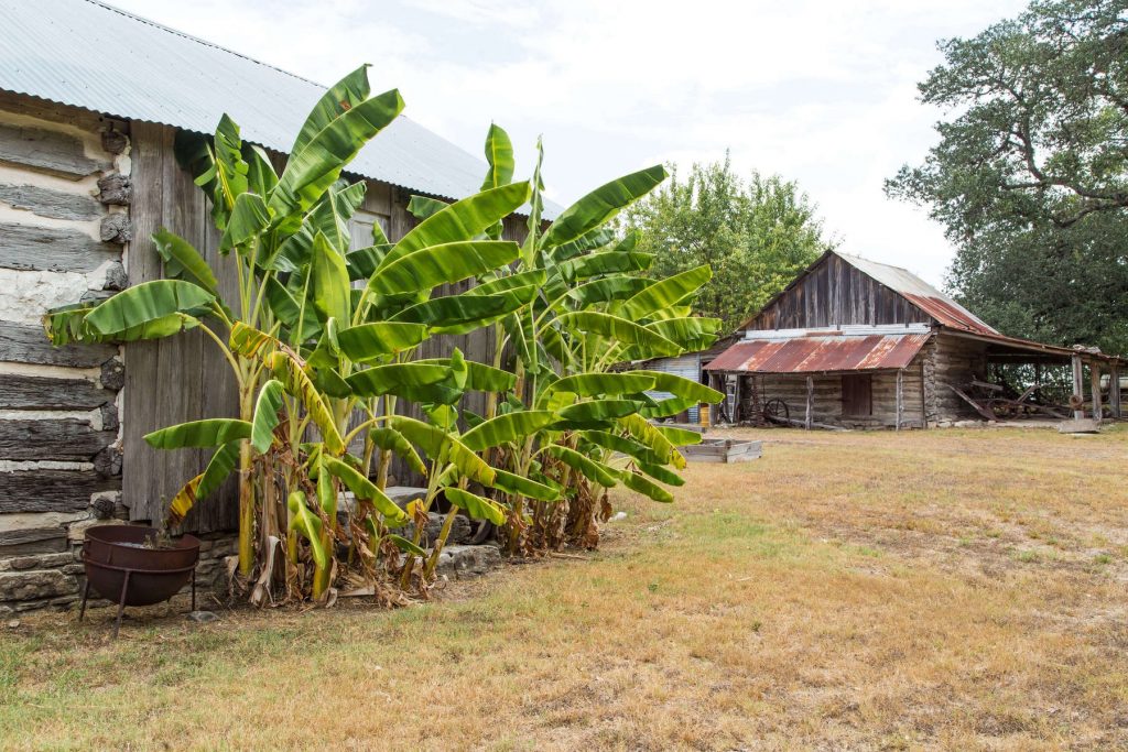 Seward Plantation: A Texas Legacy - Round Top