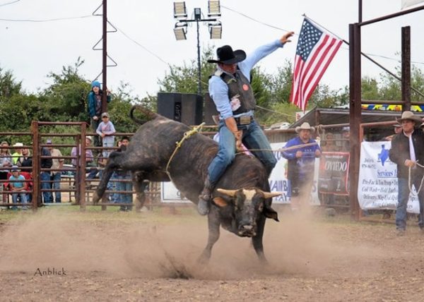 Backyard Bull Bash - Round Top