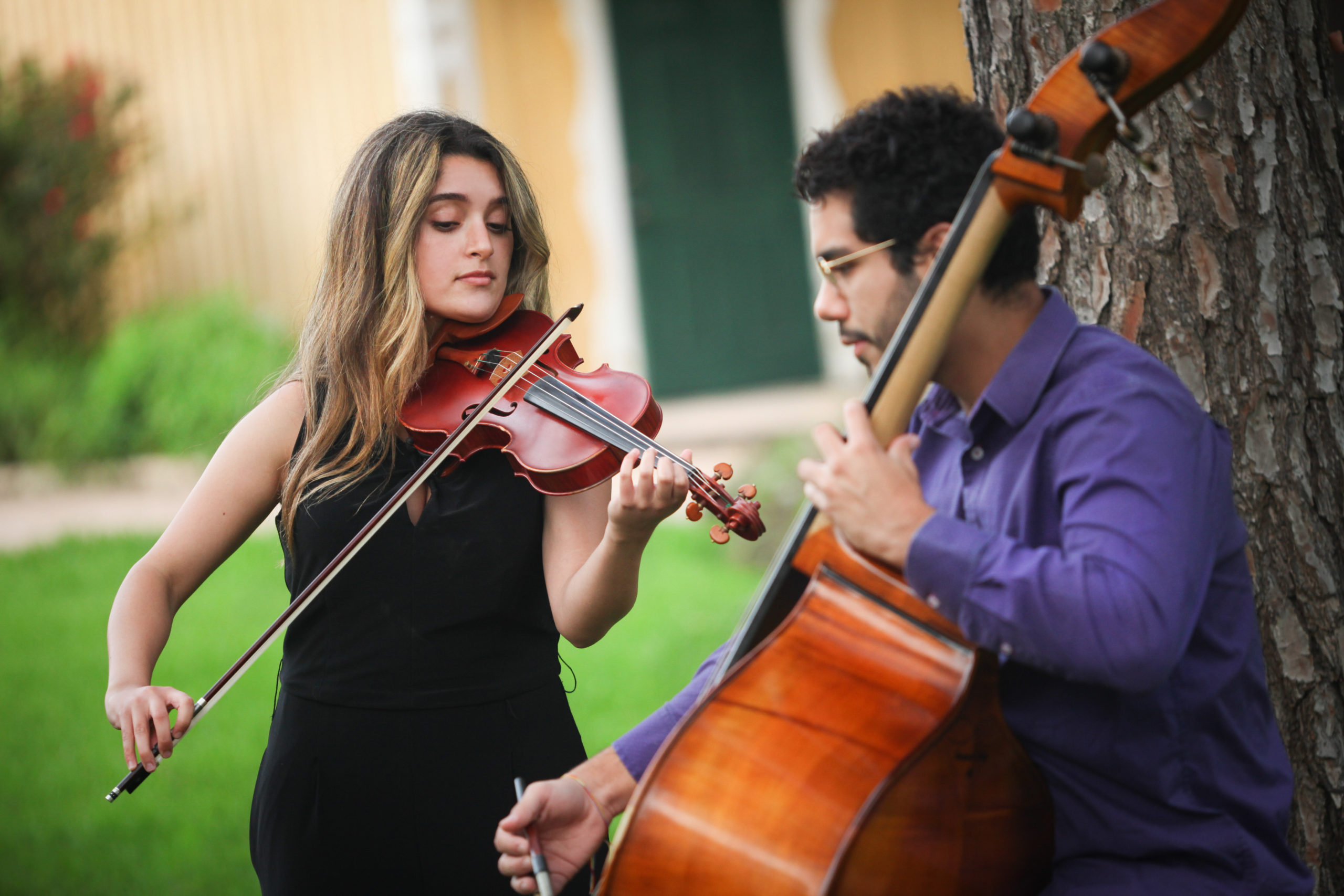 Your Round Top Summer Calendar: Art, Music, Markets & More - Round Top