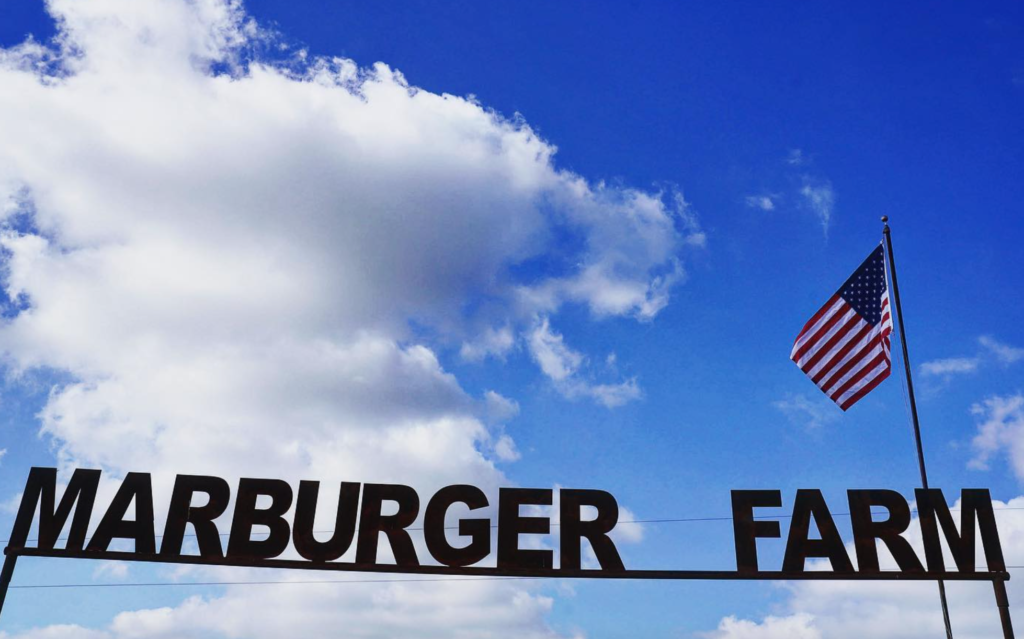 Marburger Farm 25th Anniversary Antique Show - Round Top