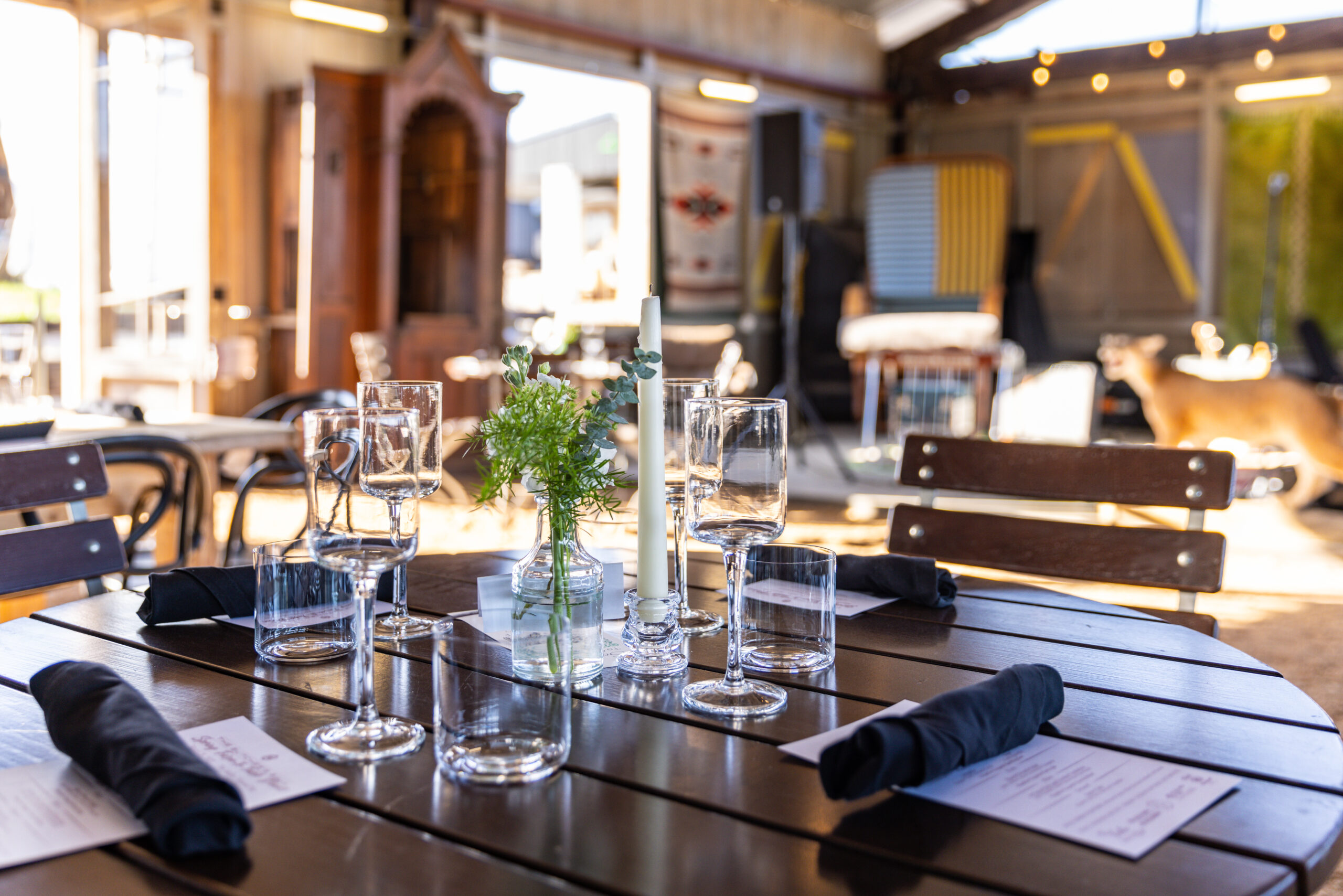 Butcher's Ball Brings Star Chefs, Bands and Truly Local Unforgettable ...