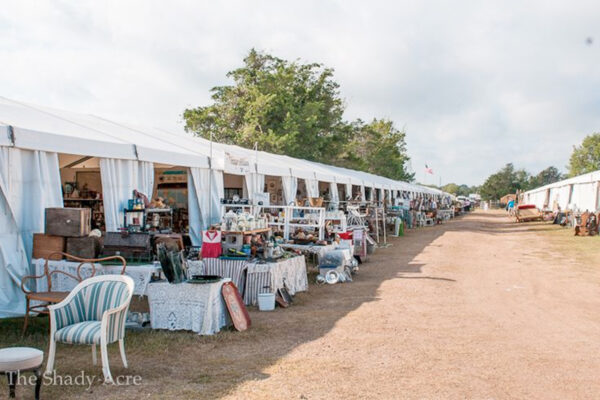 Tuesday Morning Tailgate at Marburger Farm - Round Top