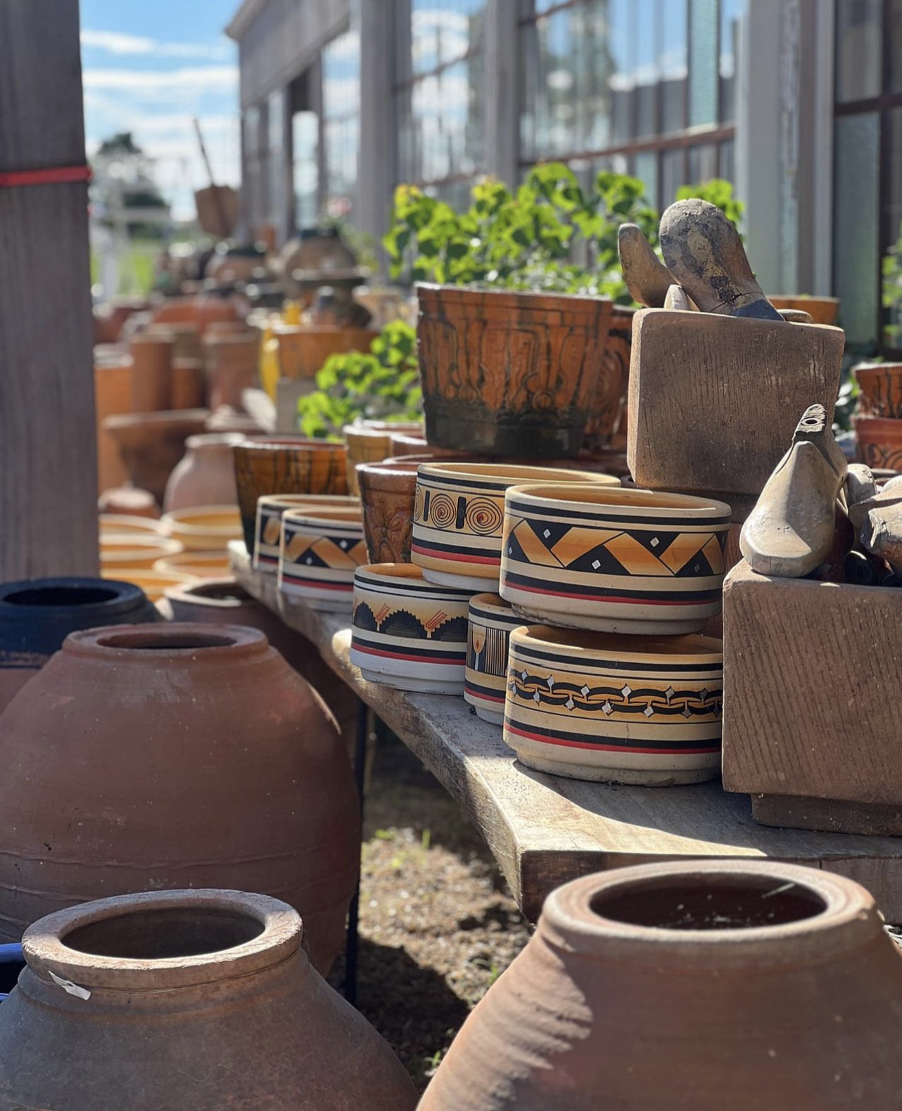 Everything You Need to Know About the Round Top Winter Show: Your Guide ...