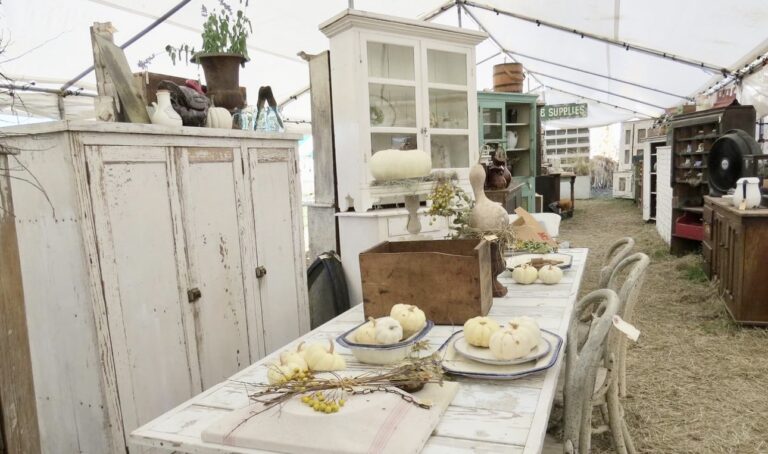 Everything You Need to Know About the Round Top Winter Show: Your Guide ...