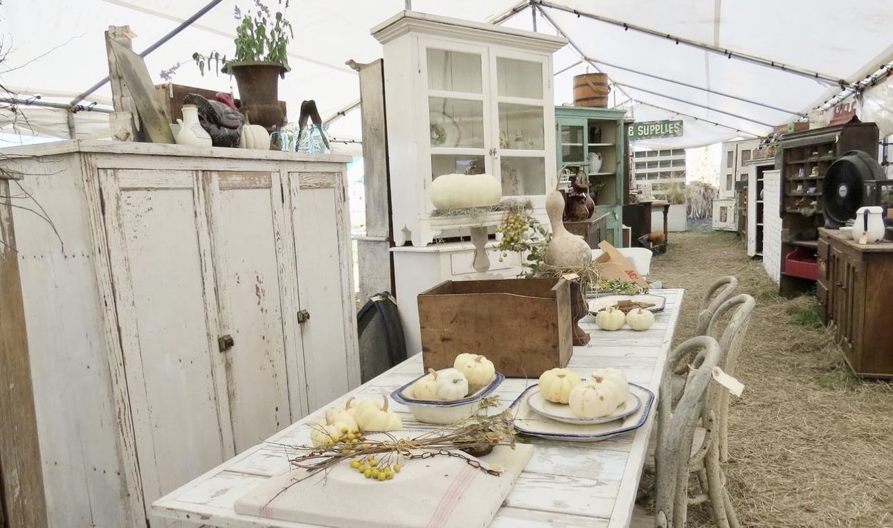 Everything You Need to Know About the Round Top Winter Show: Your Guide ...