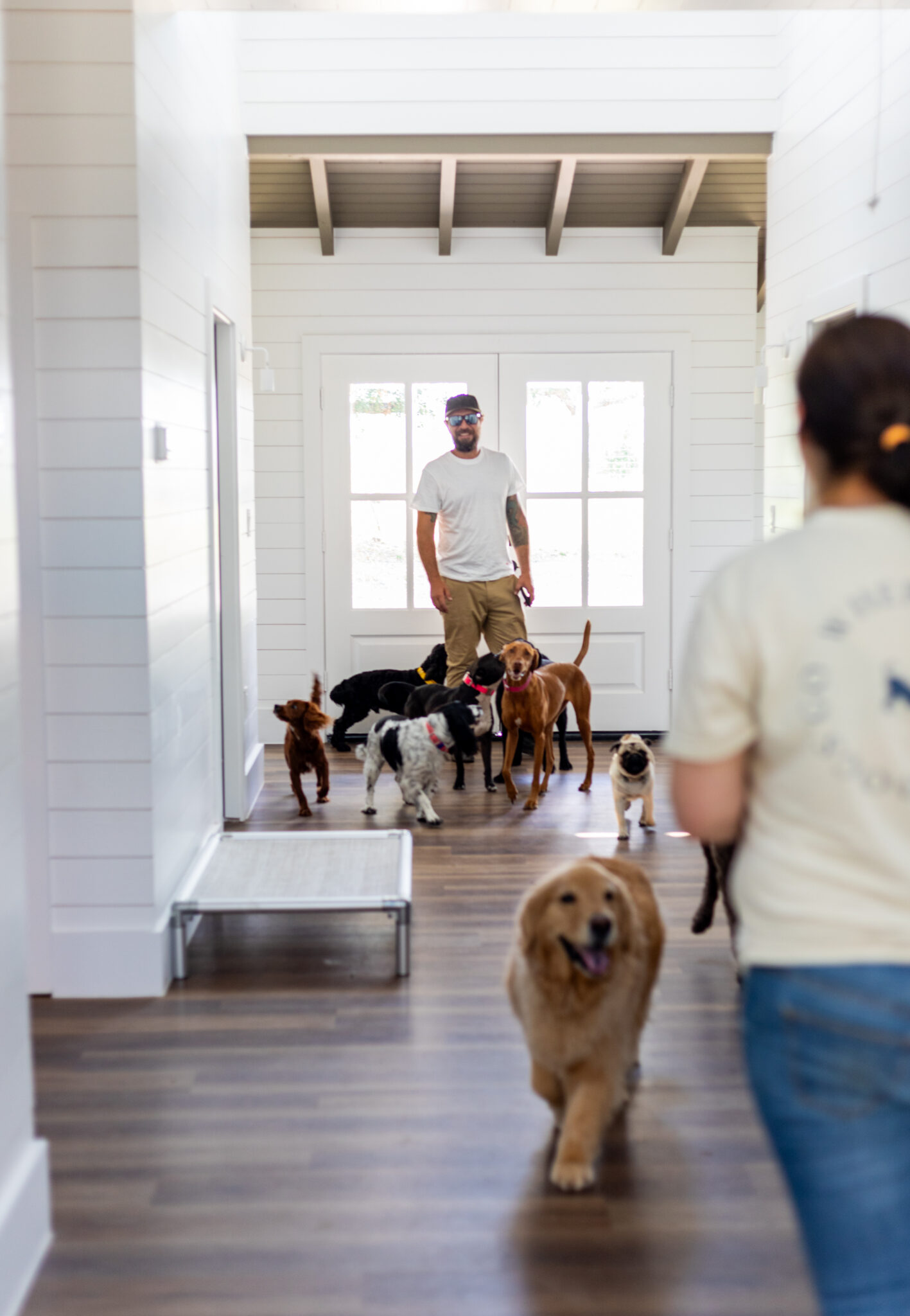 Hound House Takes Dog Boarding to the Next Level: Countryside Pet ...