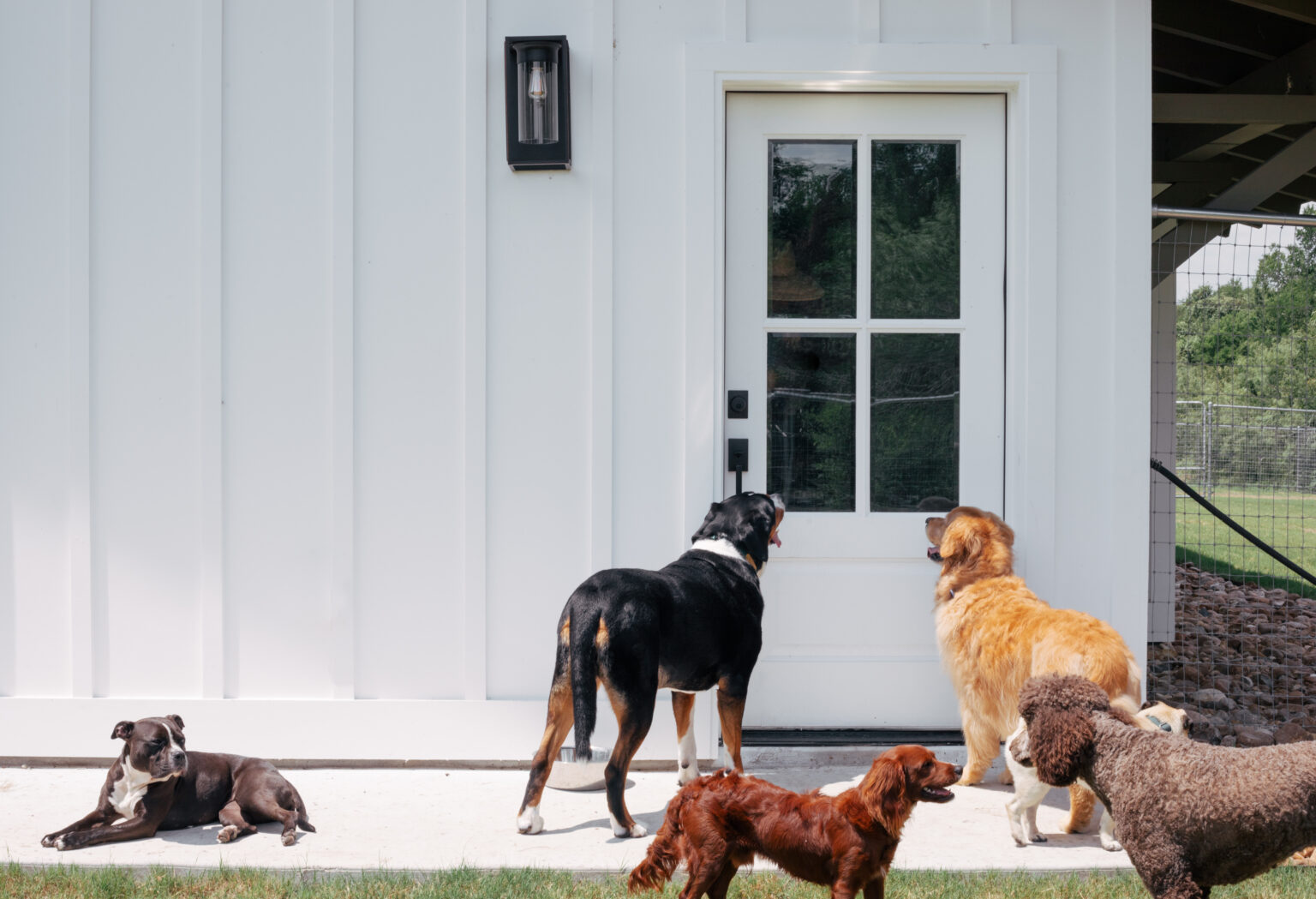 Hound House Takes Dog Boarding to the Next Level: Countryside Pet ...