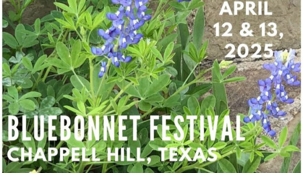 Bluebonnet Festival of Texas - Round Top