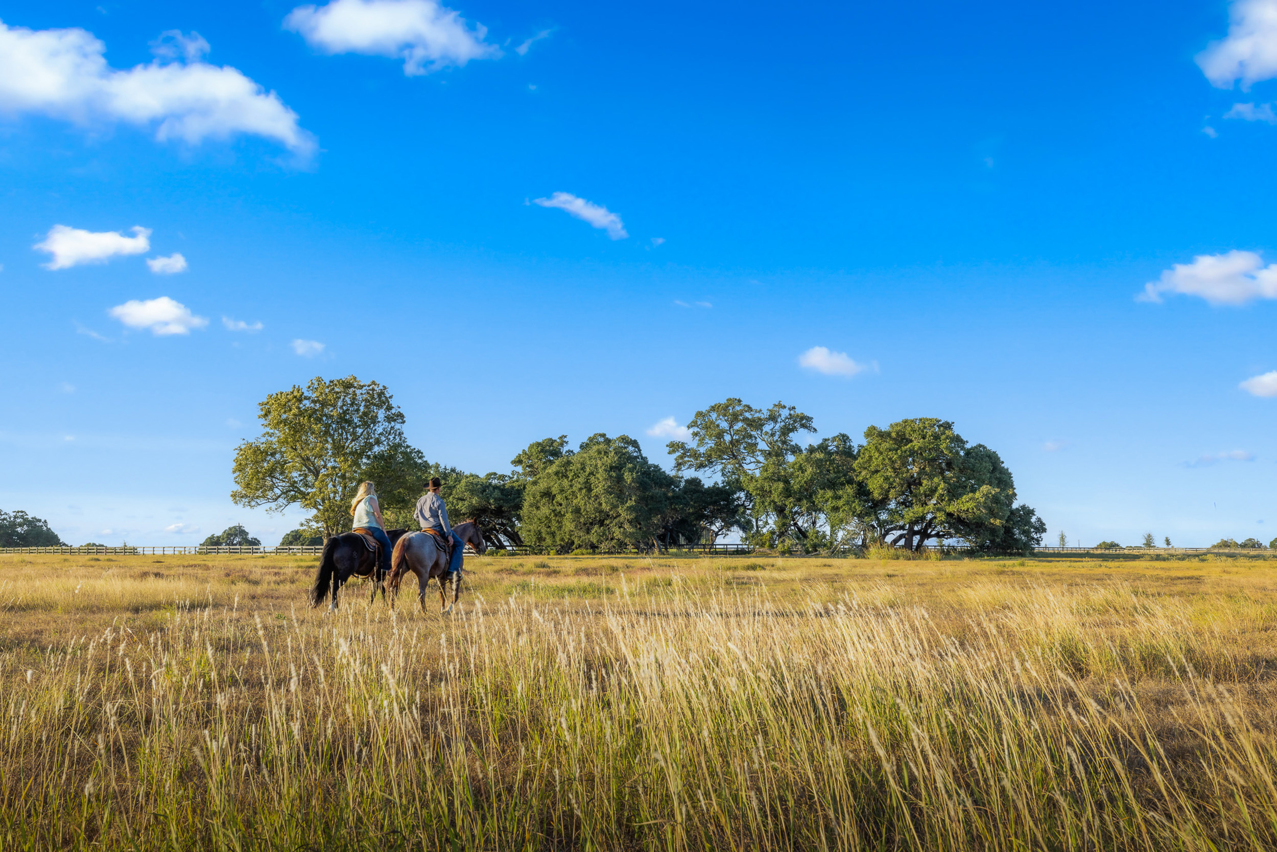 Round Top Real Estate: New Developments Offer the Best of All Worlds in ...